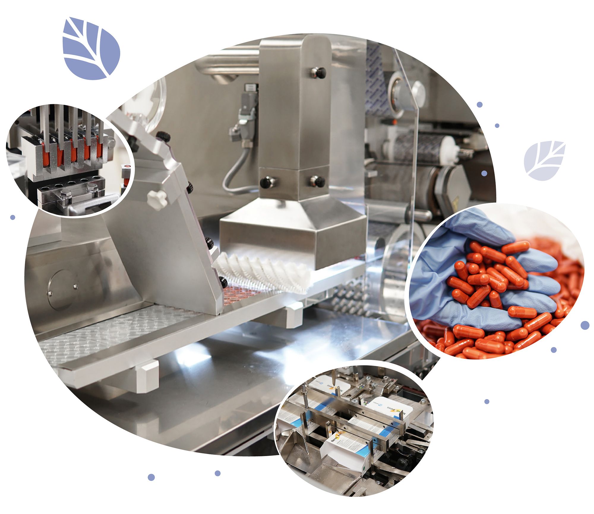 Solepharm - European high quality pharmaceutical manufacturer